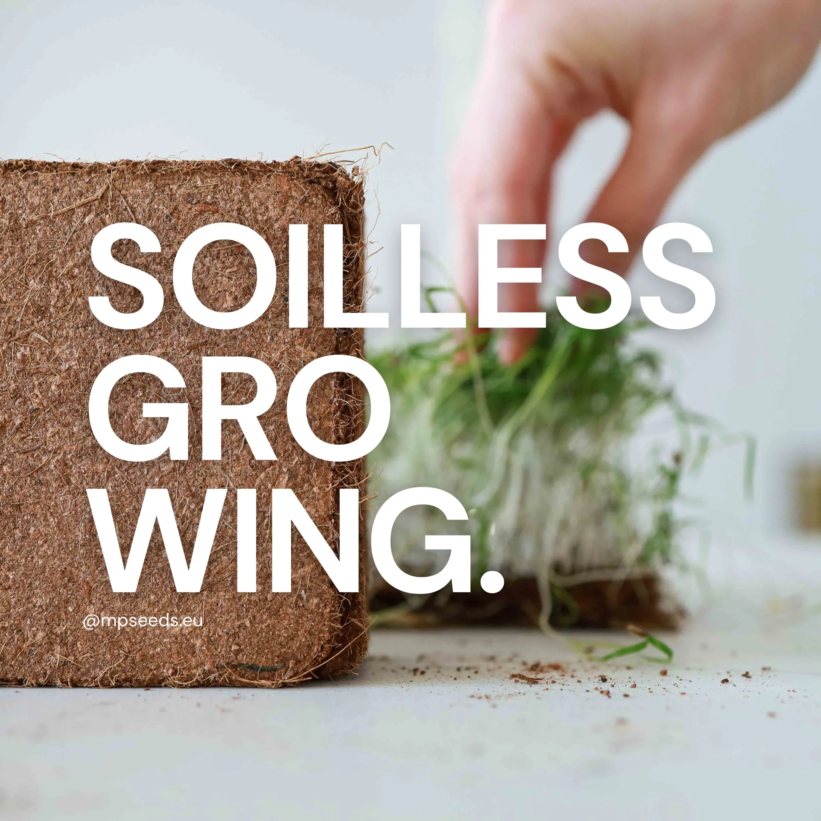 The Ultimate Guide to Growing Media for Microgreens and Controlled ...