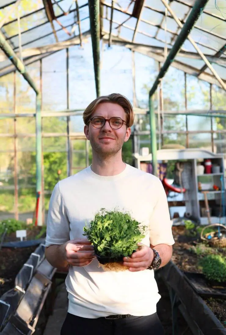 Microgreens seeds producer - MP SEEDS
