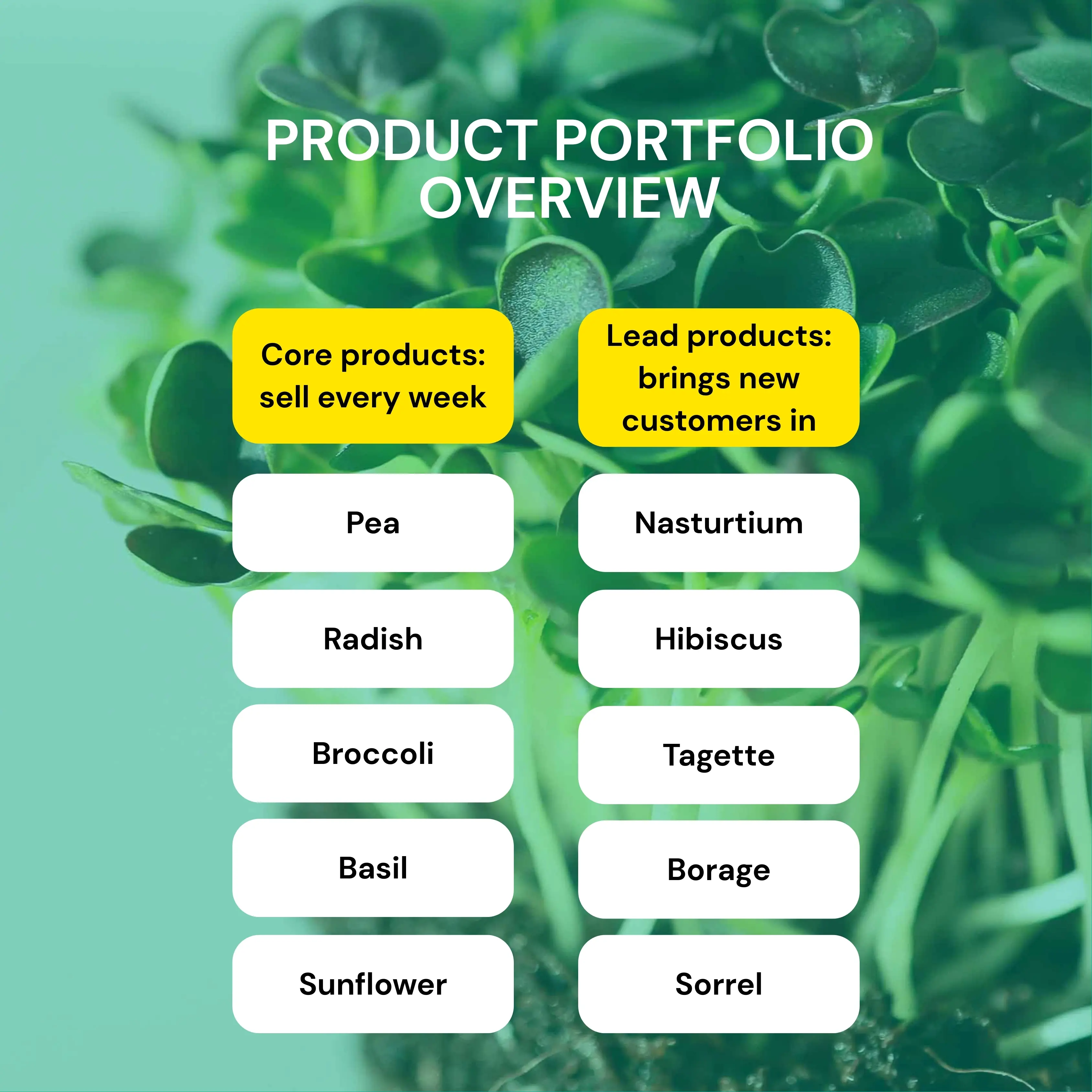 Microgreens Market Review 2025: What to Grow in 2026 Based on MP SEEDS ...
