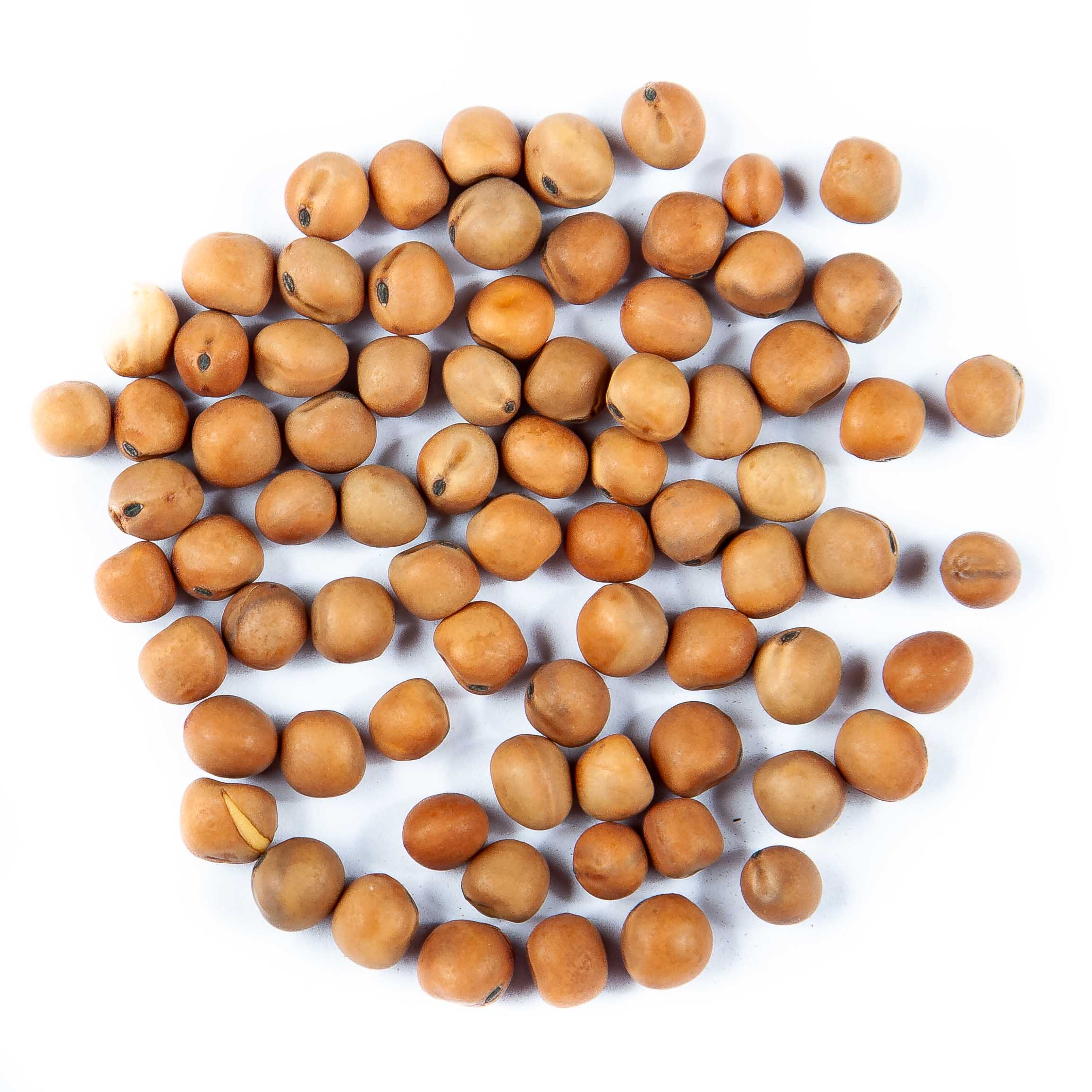 How to Grow Pea Microgreens Fast and Easy: A Professional Guide