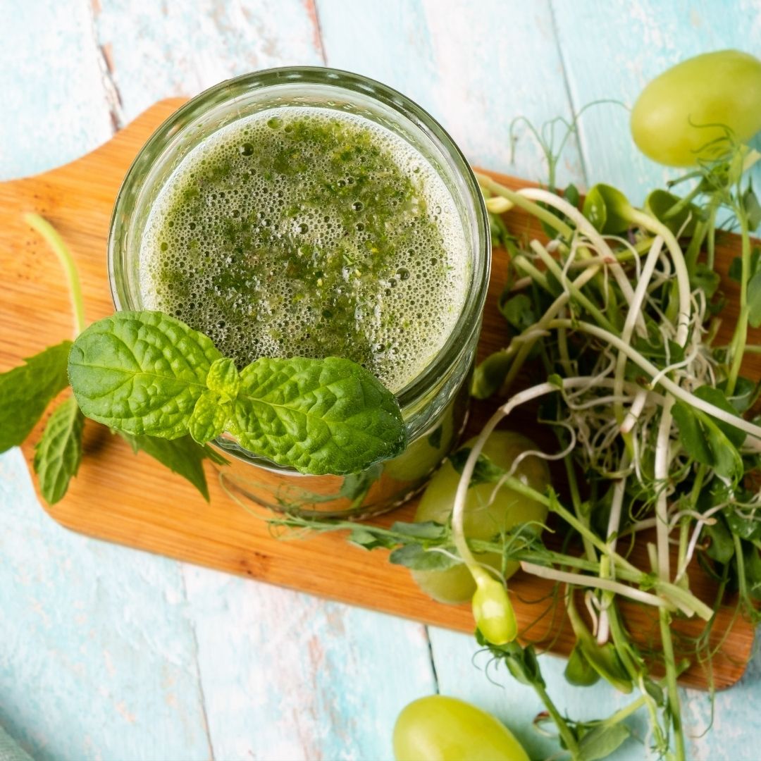 How to Use Microgreens and Sprouts in the Kitchen? 5 easy recipes ideas ...